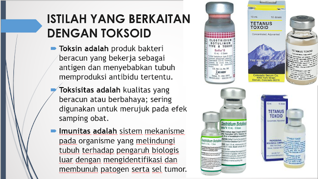 [PPT] PRODUK IMUNOLOGI (VAKSIN, TOKSOID, IMMUNOSERA)