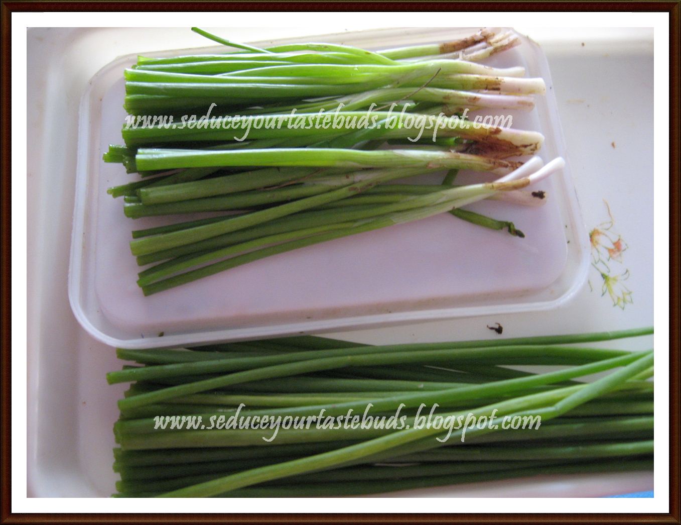 How To Freeze / Store Spring Onions - Seduce Your Tastebuds...