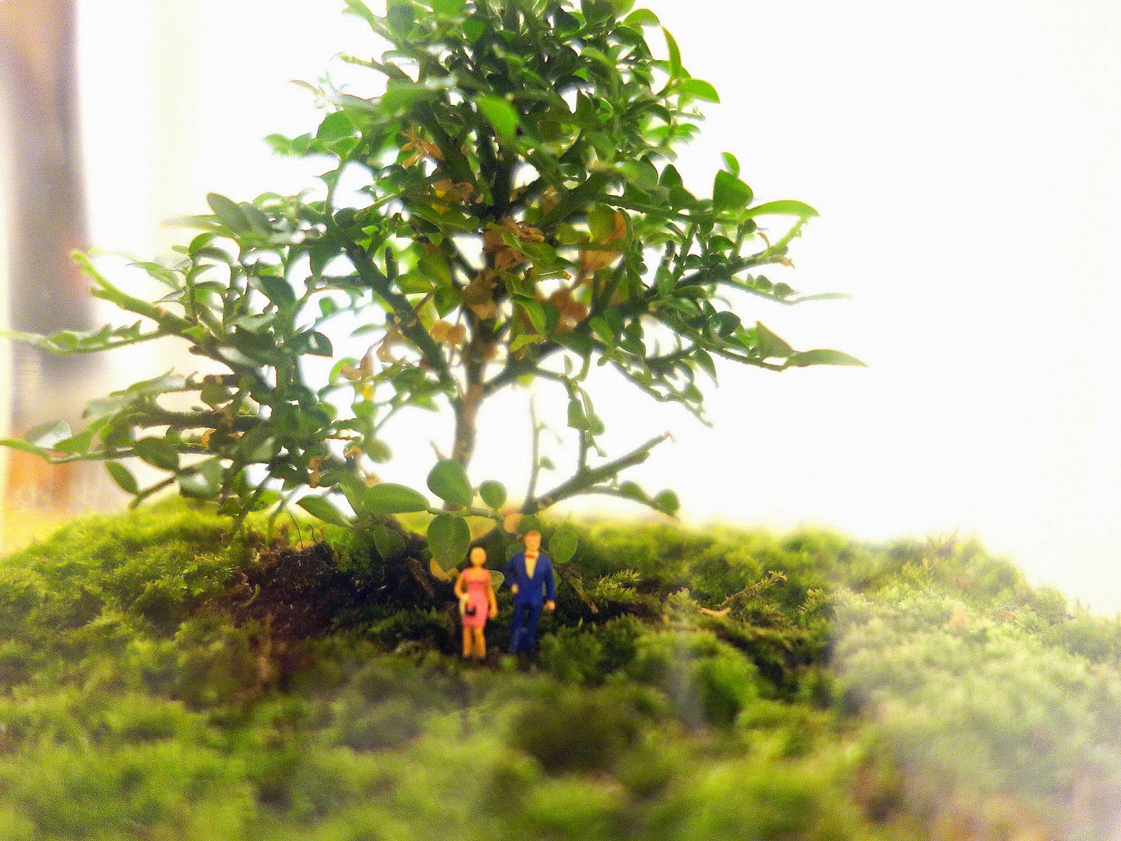 Eat Drink KL | Restaurant DC By Darren Chin @ TTDI