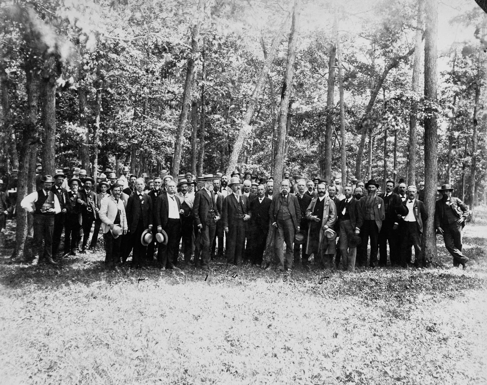 JOHN BANKS' CIVIL WAR BLOG: 'A sight for the gods': Wade Hampton's 1886 ...