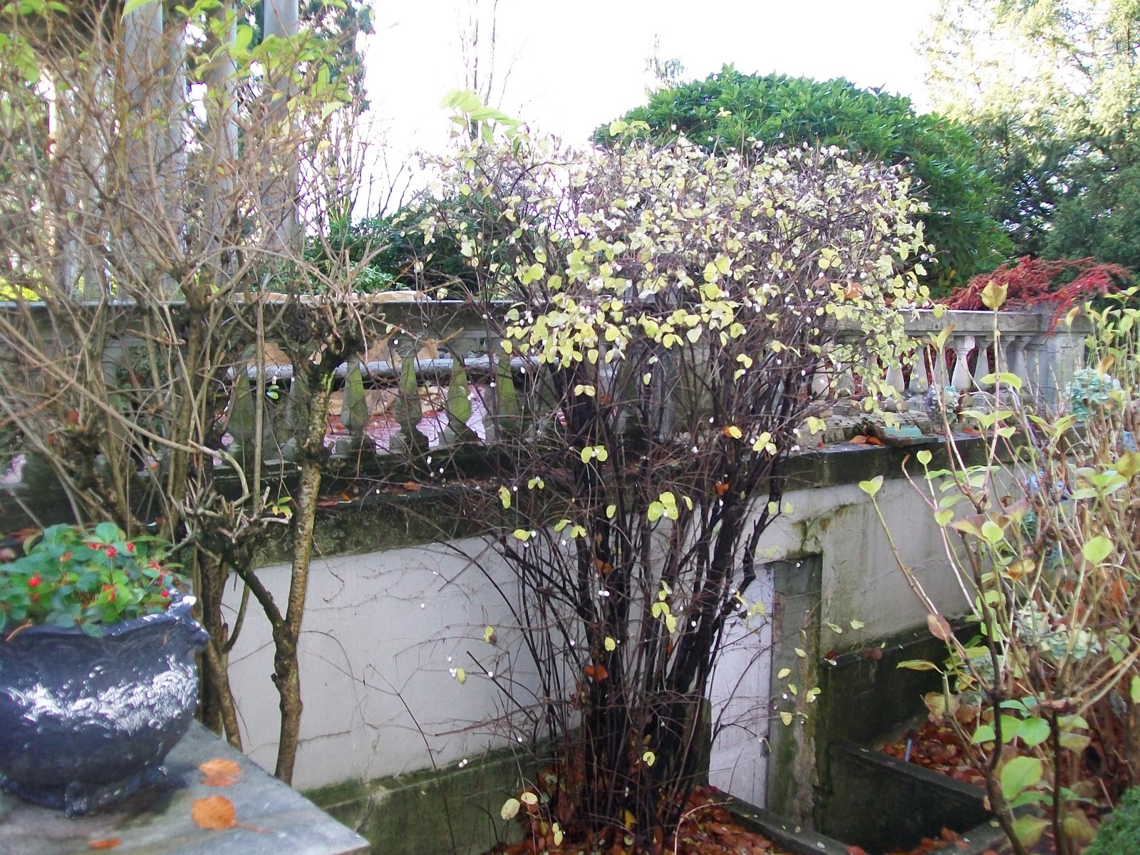 Vancouver Voyager: The Haunting of The Hycroft