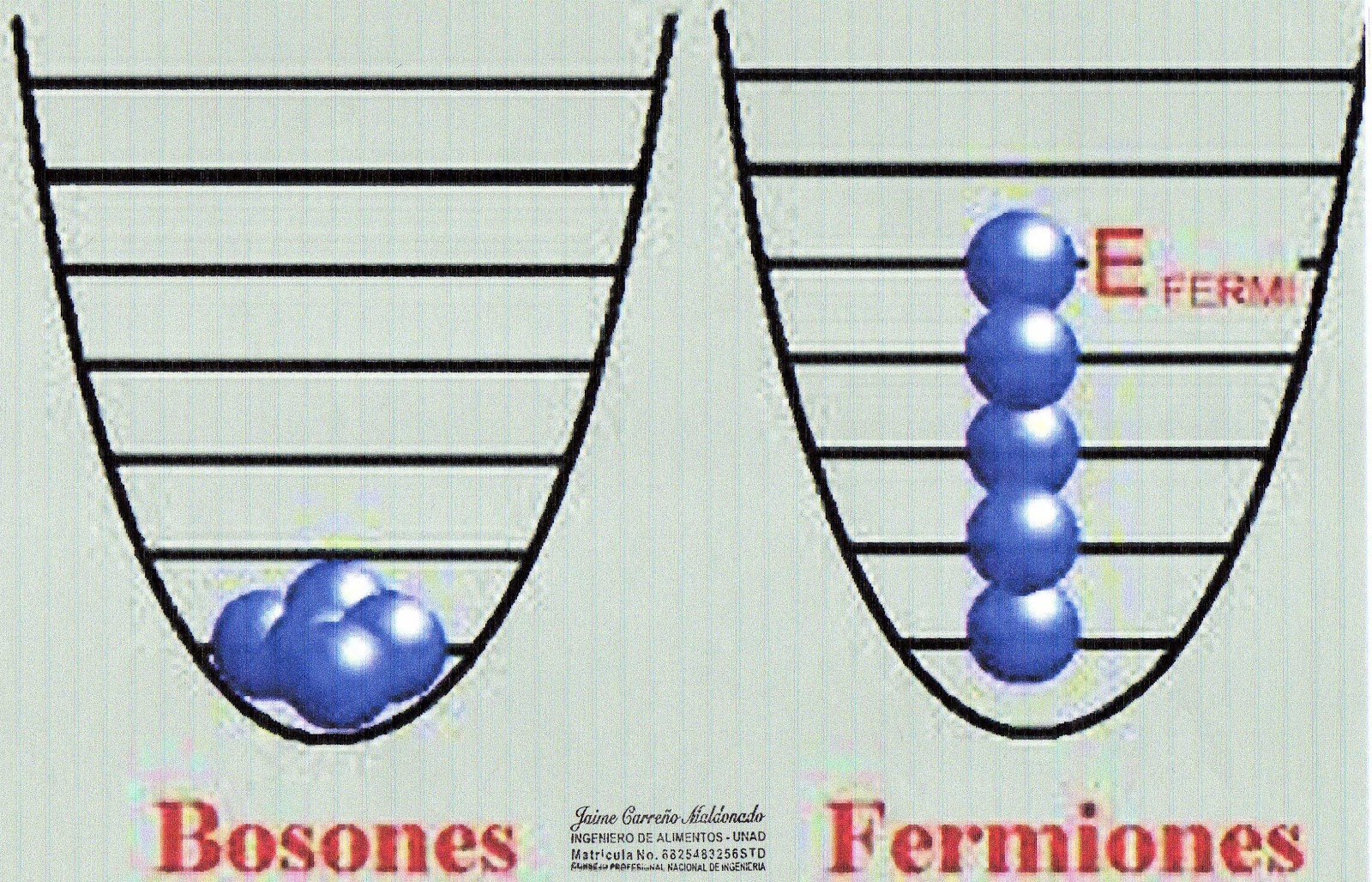 COVARIDA: Componentes de la materia ( fermiones ) y partículas de ...