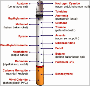 Bahaya Rokok Bagi Kesehatan Tubuh - CATATAN Angga