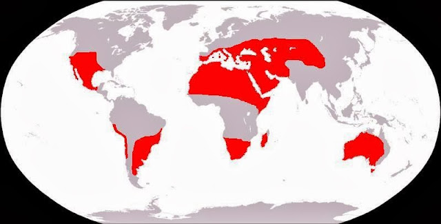 LA IMPORTANCIA DE LAS REGIONES Y RECURSOS NATURALES : ESTEPA