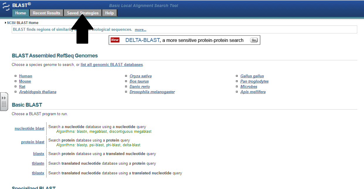 Mrs. Strong's AP Bio Lab Pages: BLAST Lab (AP Bio Lab #3)