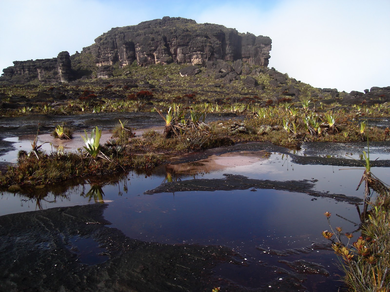 Roraima wallpapers