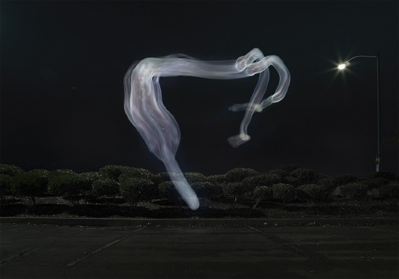 ArtHouse: Visible Human Project - Wikipedia, the free encyclopedia