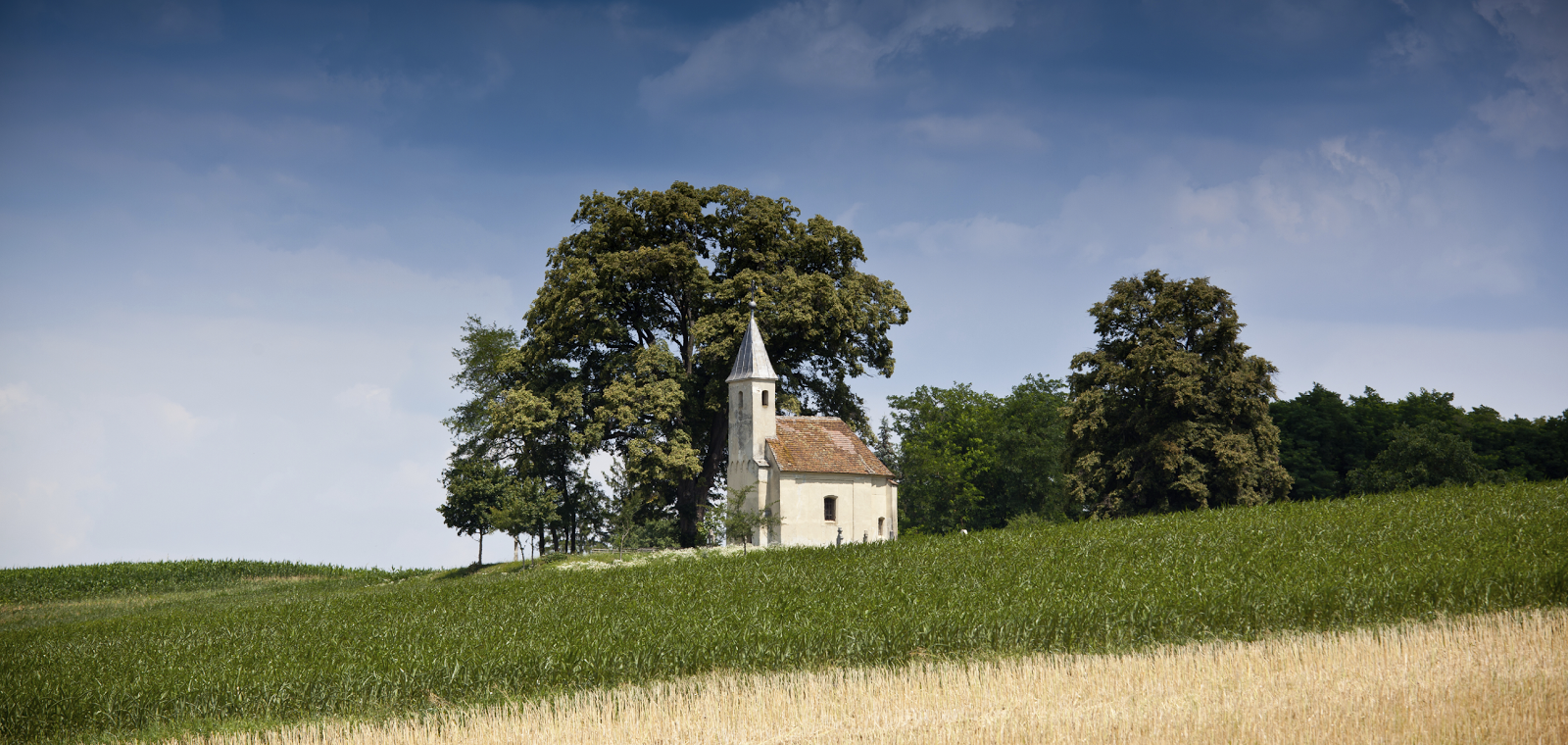 Special interview: Bettering rural life with Christ. Part 1 | Catholic ...