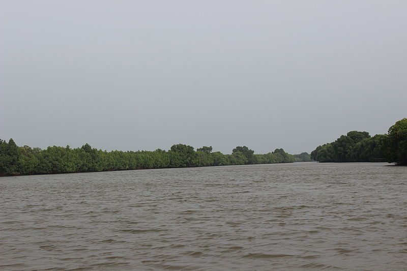 Tamilnadu Tourism: PICHAVARAM