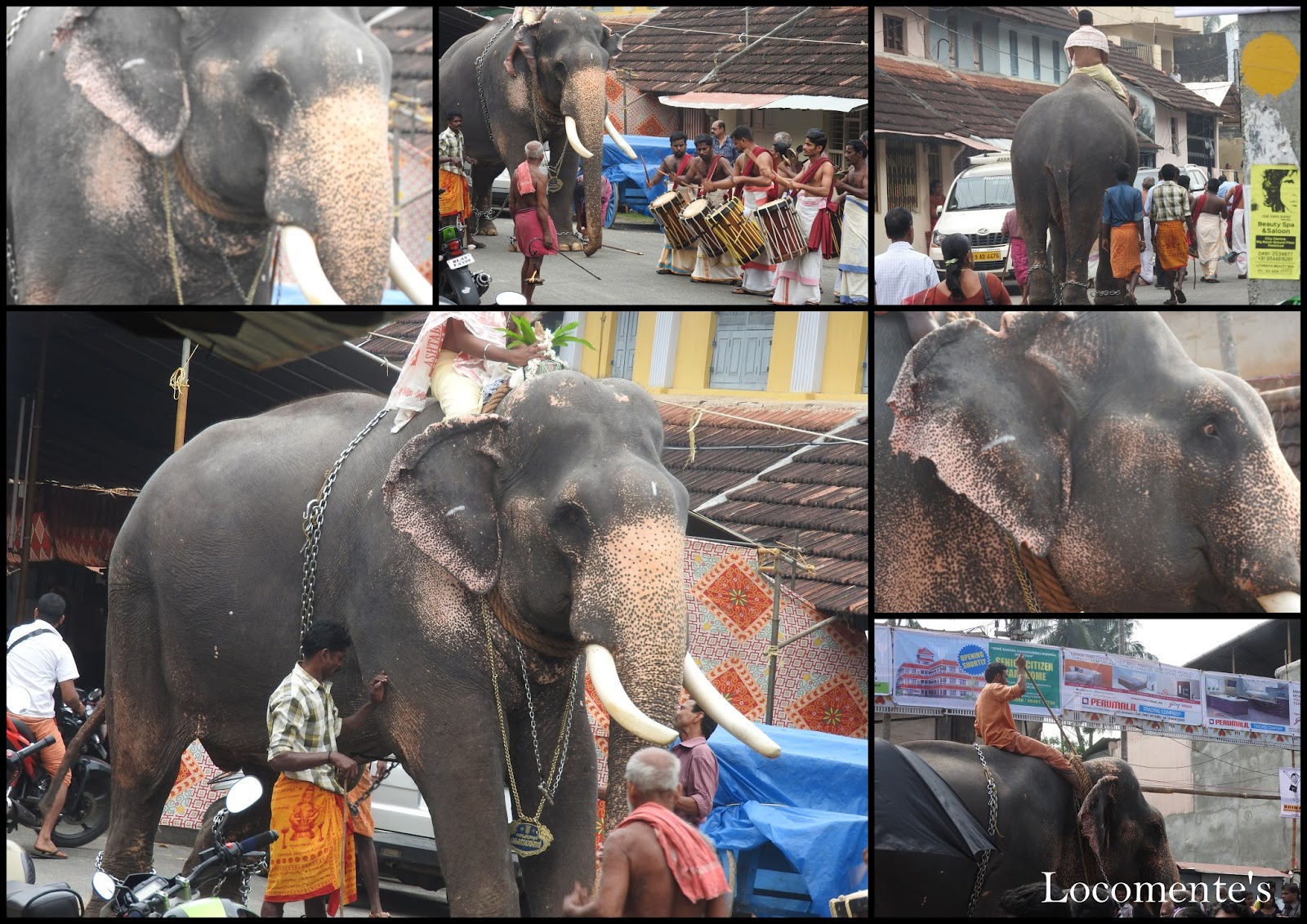 locomente...: Kalpathy Theru 2016