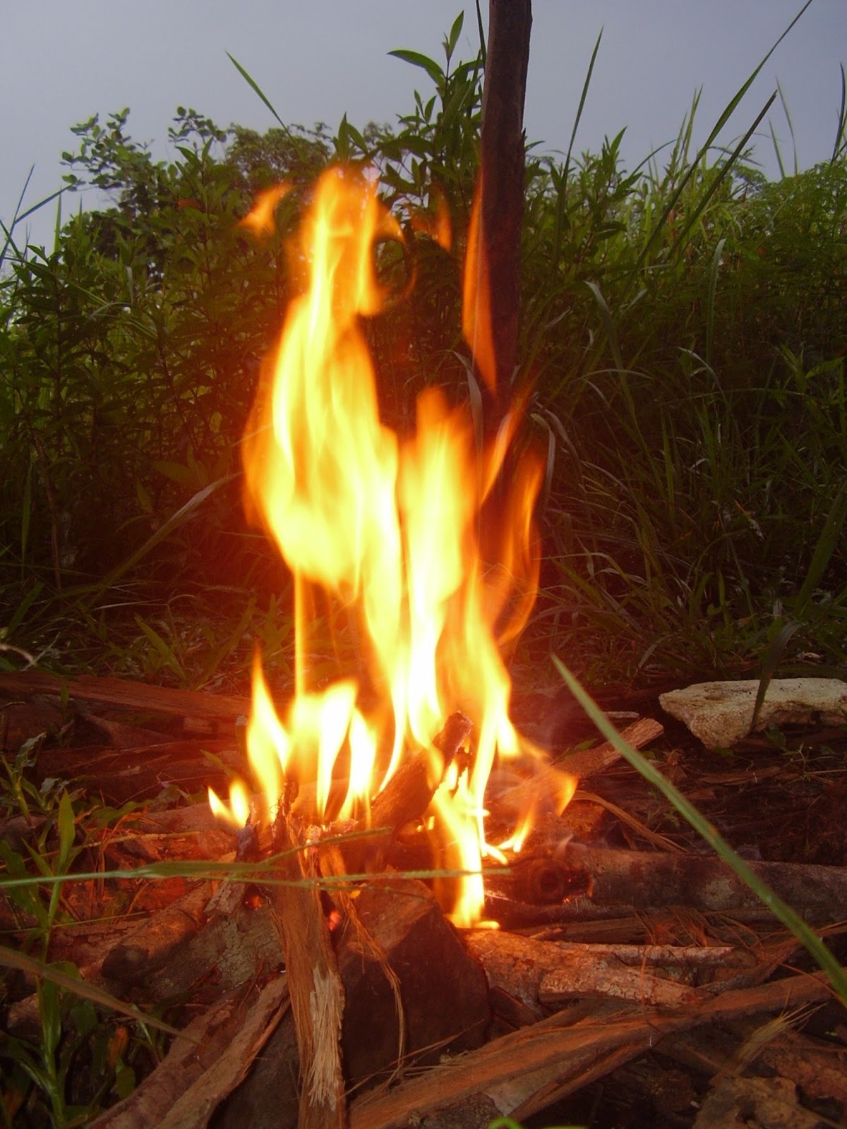 Tips sederhana membuat api ~ MAPALA UNTAN