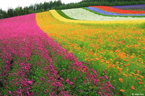 Que es la primavera - Imagui