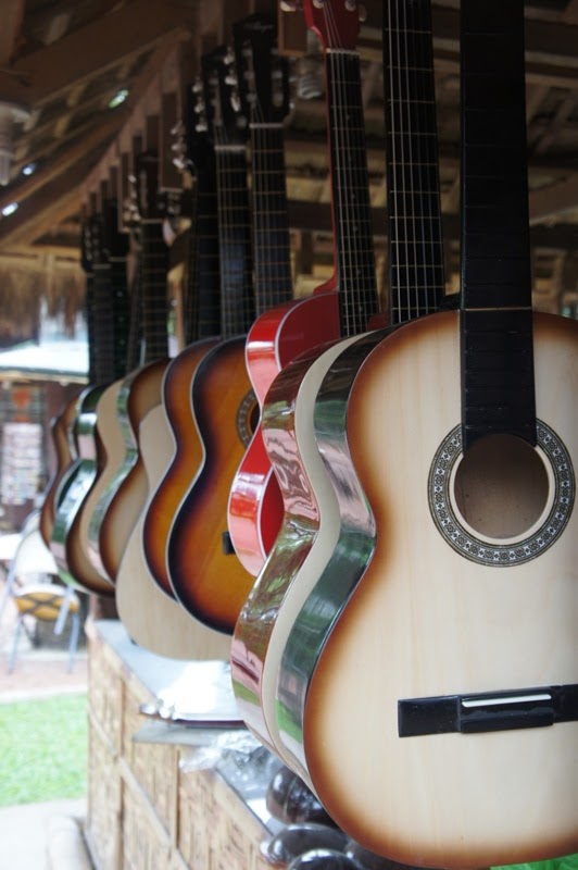 OUR PHILIPPINE TREES: My Guitar Detour
