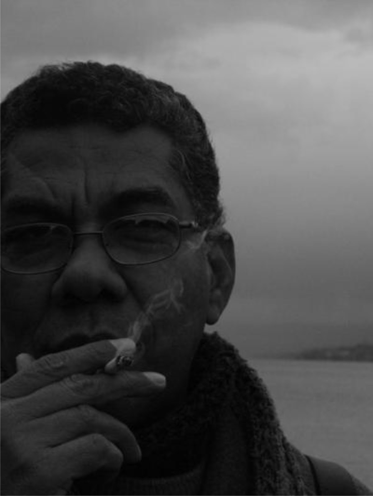 Romulo Bustos Aguirre: 2013