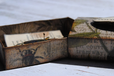 Paperwishesbyamanda: Insect in a Matchbox