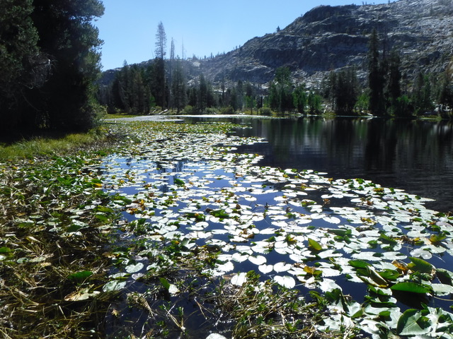 From the Mountains above the Applegate River: Louse Canyon: A Beautiful ...