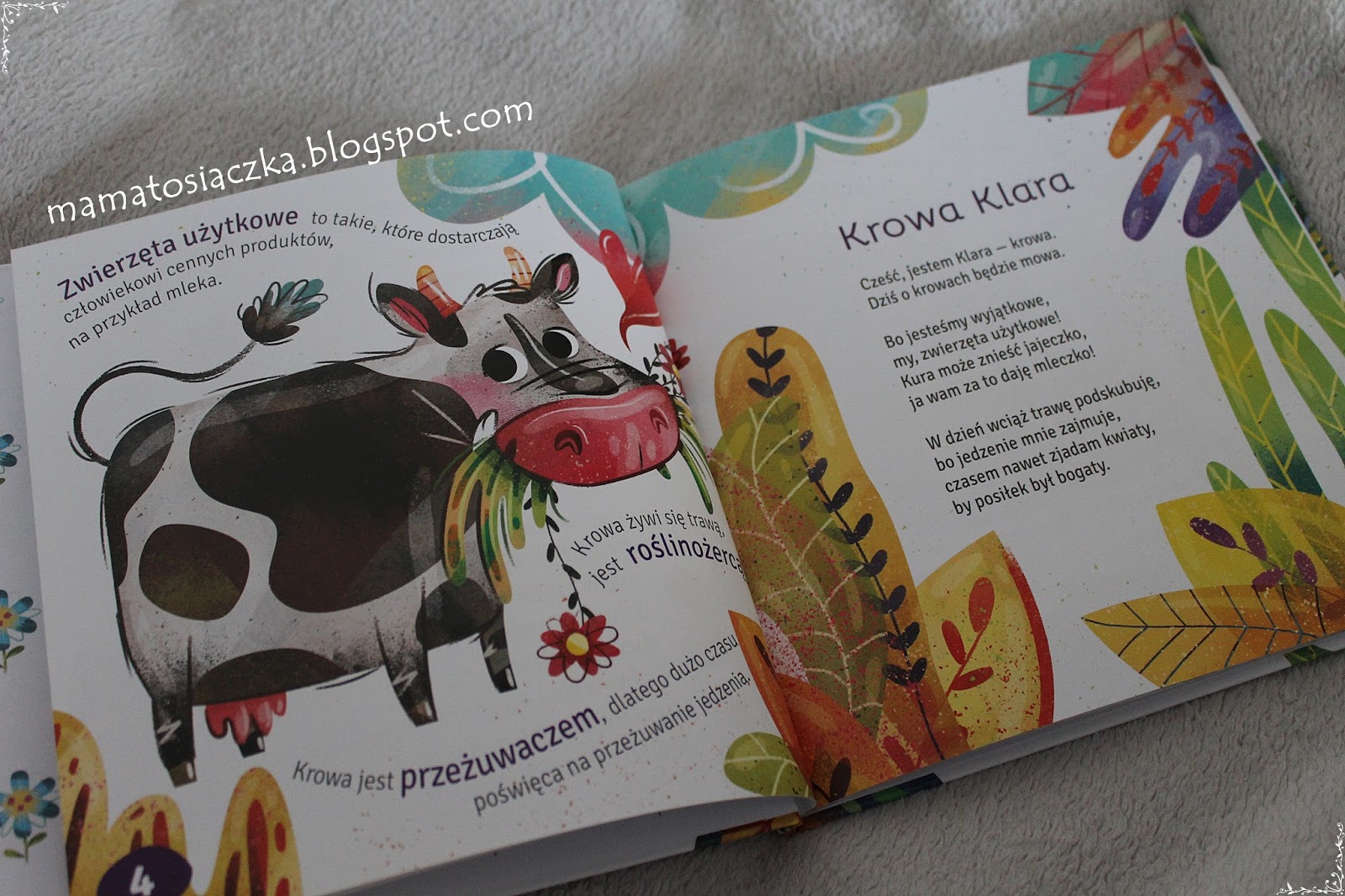 Najpiękniejsze rymowanki o zwierzętach dla dzieci - "Rymowane ...