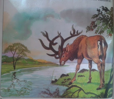 Moral Stories for Children: Stag and His Reflection moral Story