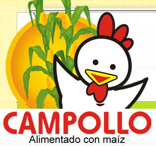 MICROMERCADO LA 15: CAMPOLLO
