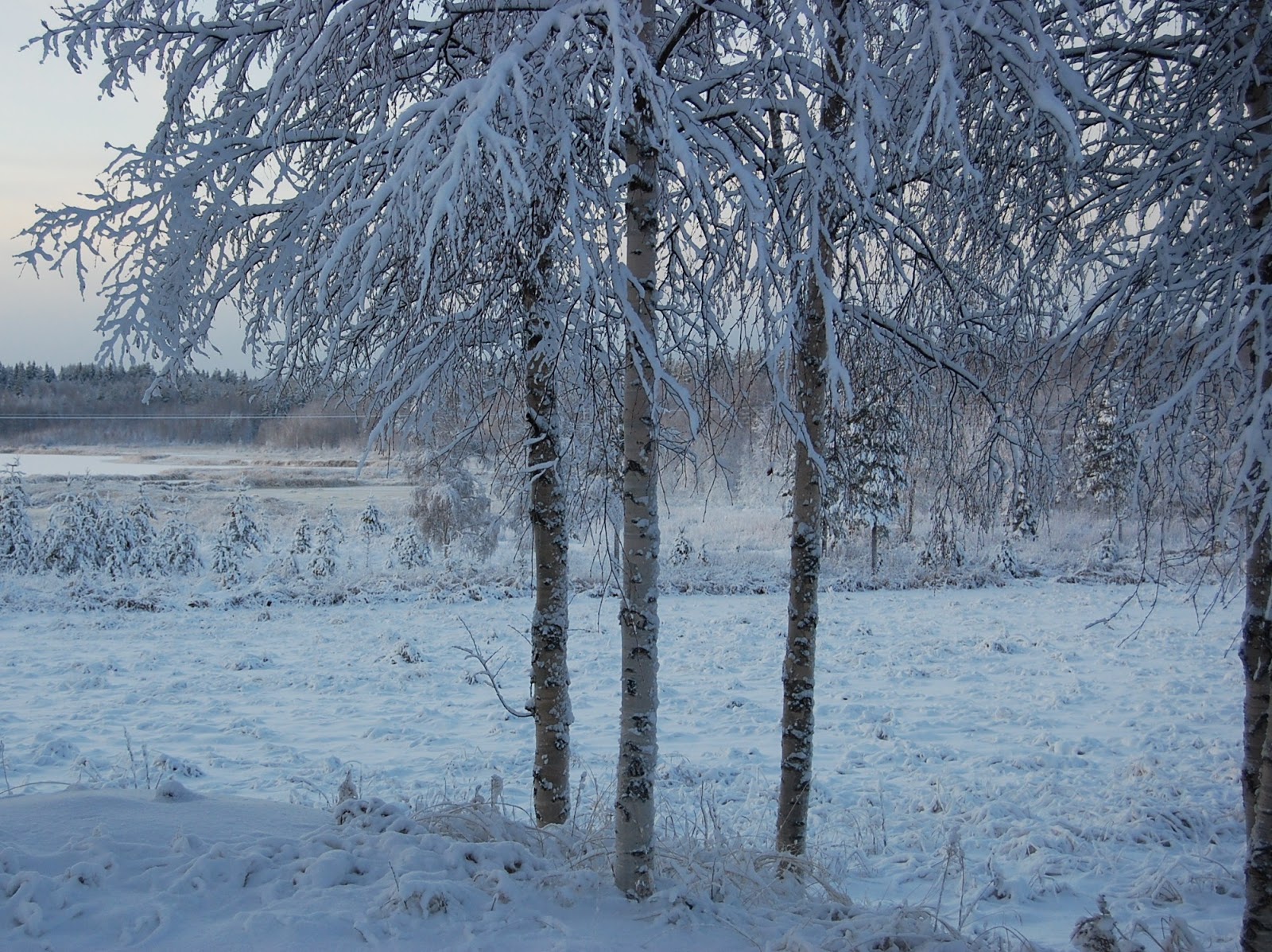 Lisas Vinterland: Bildbomb - mitt vinterland