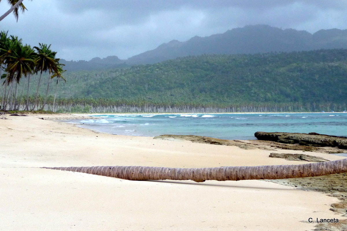 En busca de la cuadratura del círculo: Playa Rincón