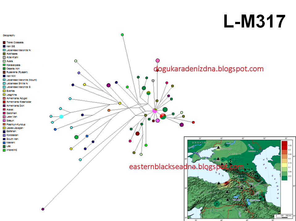 Eastern Black Sea DNA: Laz Y-DNA Haplogroups