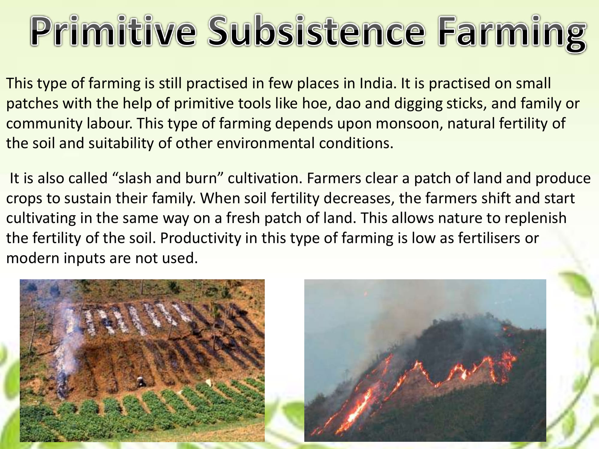 Agriculture Class 10th PPT