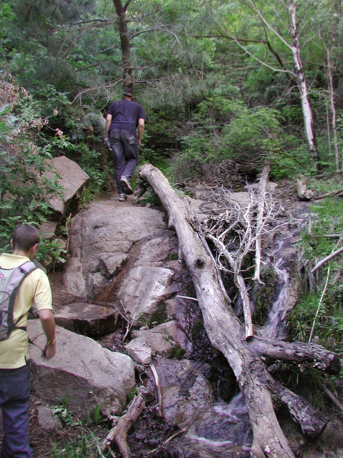 New Mexico Camping: Domingo Baca Canyon / TWA Crash Site