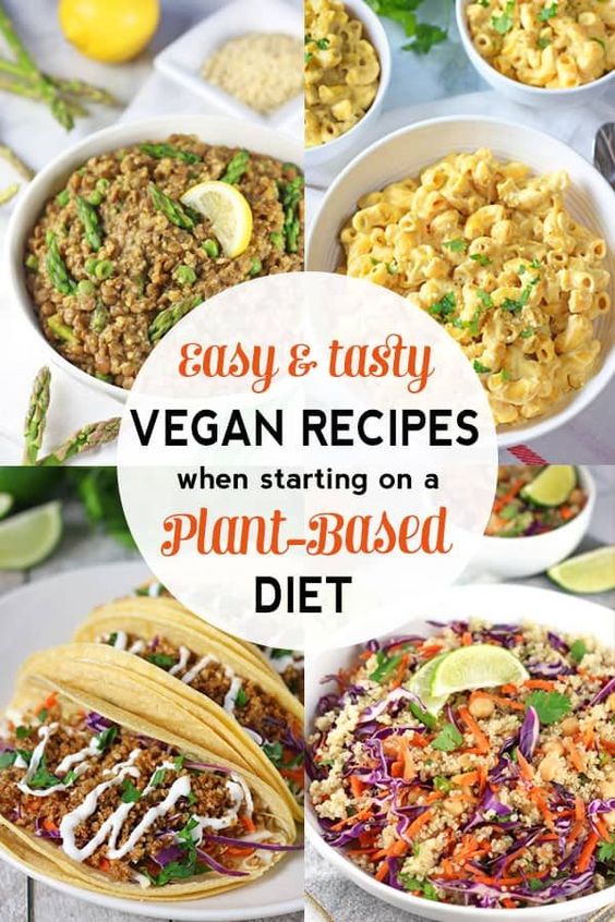 Favorite Recipes for Starting on a Plant-Based Diet - The Country Cook ...