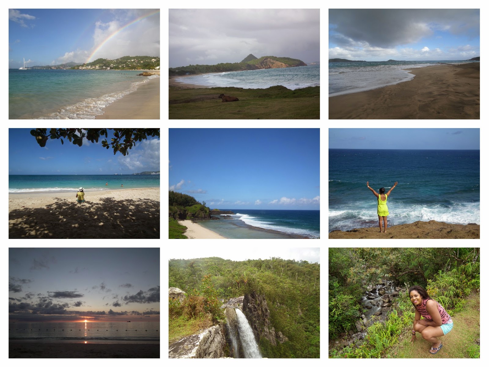 Caribbean Sisters In Agricultural Development : Happy World Water Day!