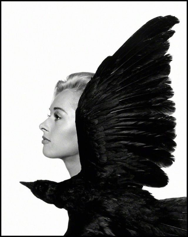 20 Amazing Publicity Photographs of Tippi Hedren for 1963 Horror ...