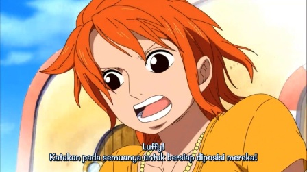 Anime-Recaps: One Piece - episode 505