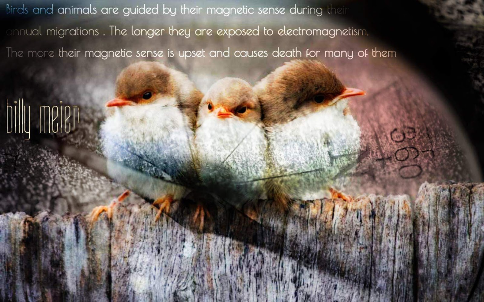 The Quest For Answers .... To Everything .... : Effects of Electro ...