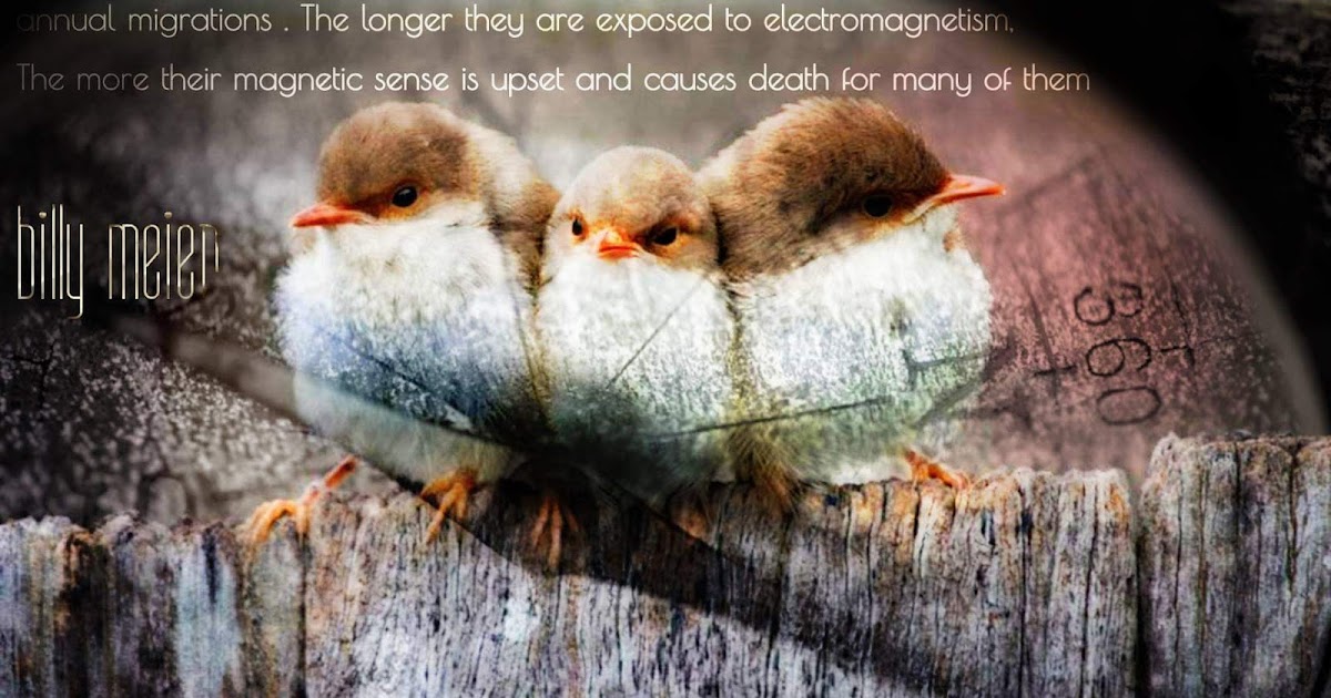 The Quest For Answers .... To Everything .... : Effects of Electro ...