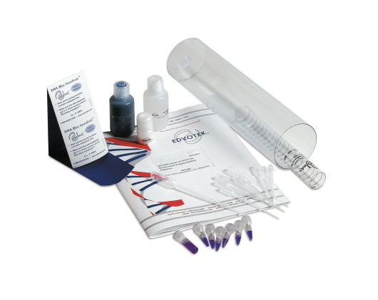 Procesos Sanitarios 18: PCR Polymerase Chain Reaction
