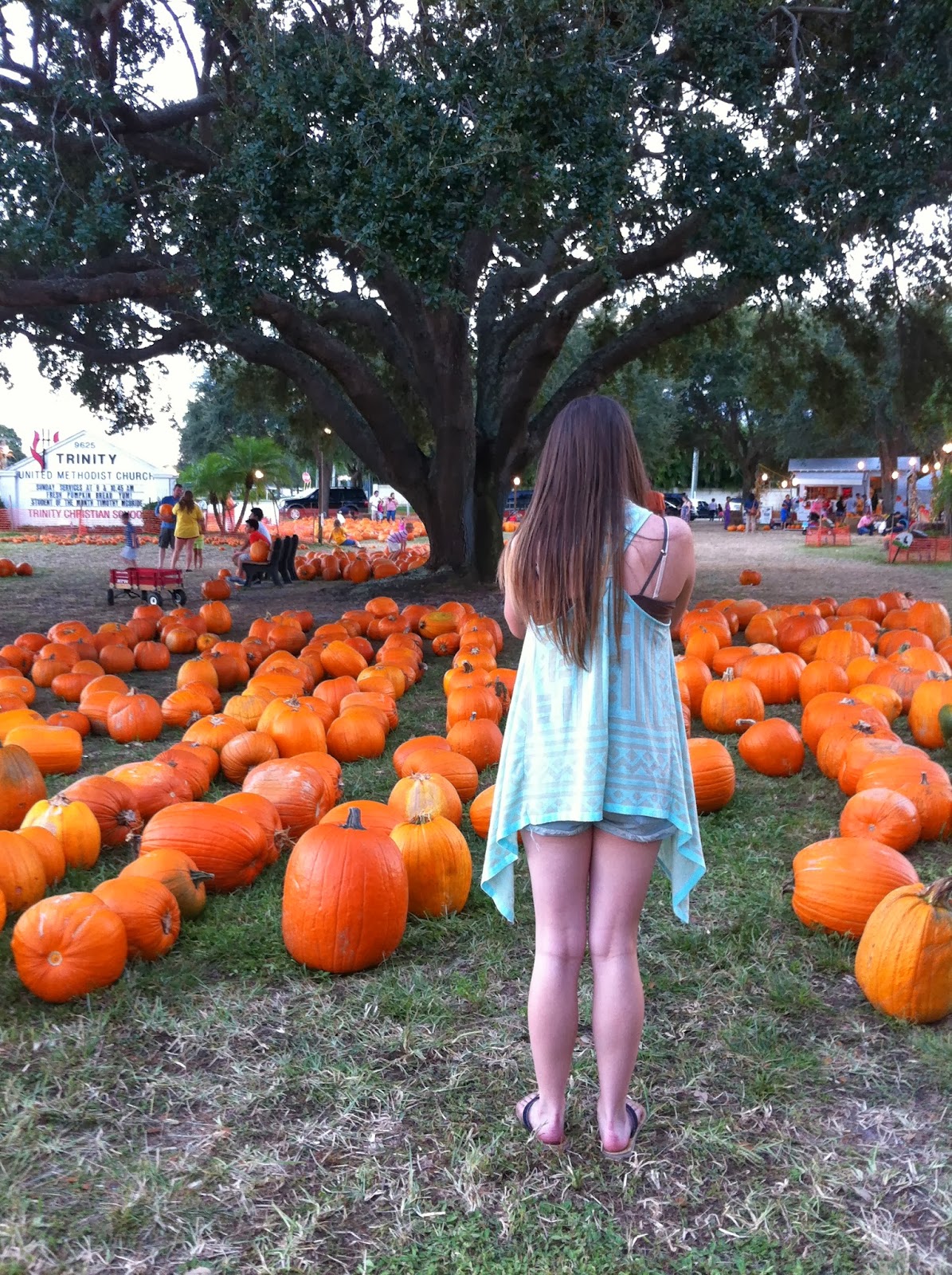 Sounds Like Chelsea's Life: Pumpkin Patch!