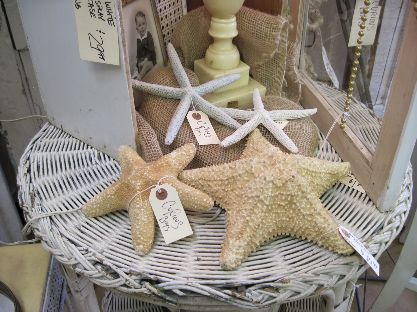 CURIOUS BOYS: CHIPPY WHITE PERFECTIONS