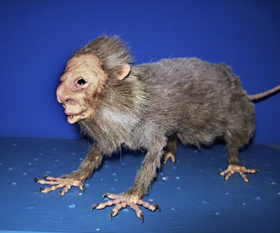 Mundo Tentacular: Little Curses - The Terrifying Rat Things