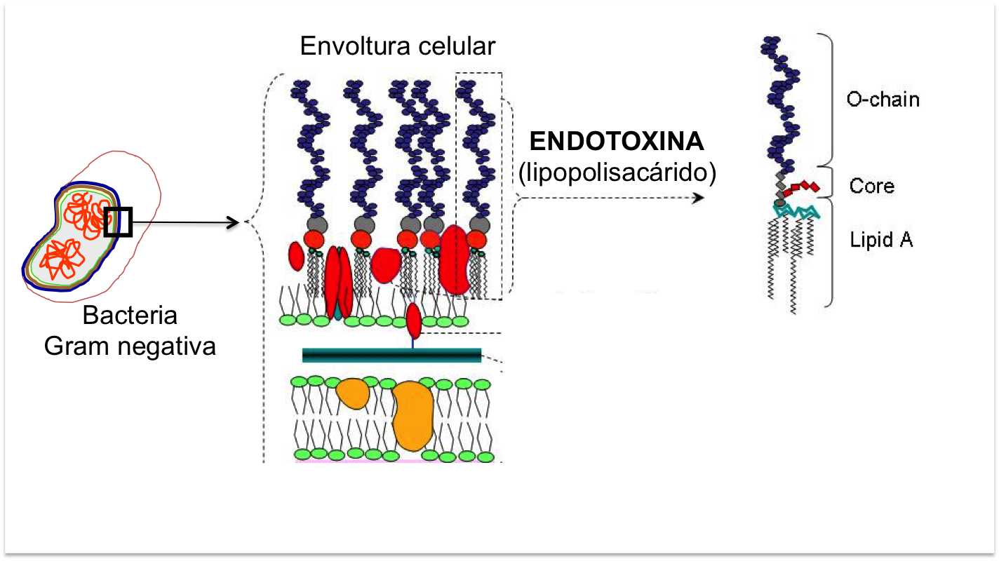microBIO: 1/01/18 - 1/02/18