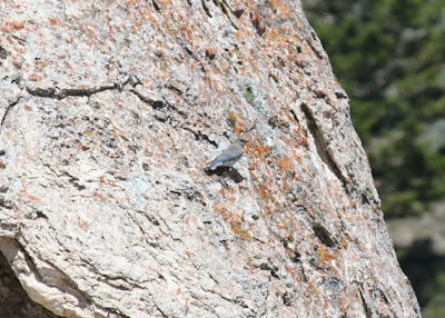 The Physical Geography of Yellowstone National Park: Rock Weathering