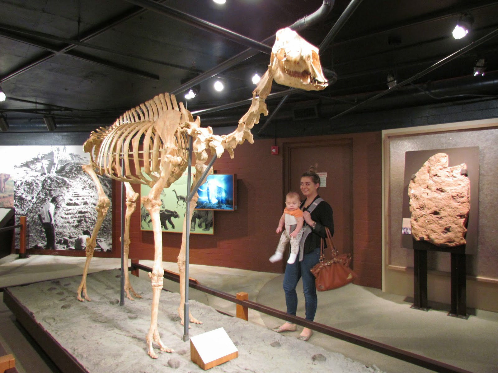 Charlotte & Me: Our Adventures — Raymond M. Alf Museum of Paleontology