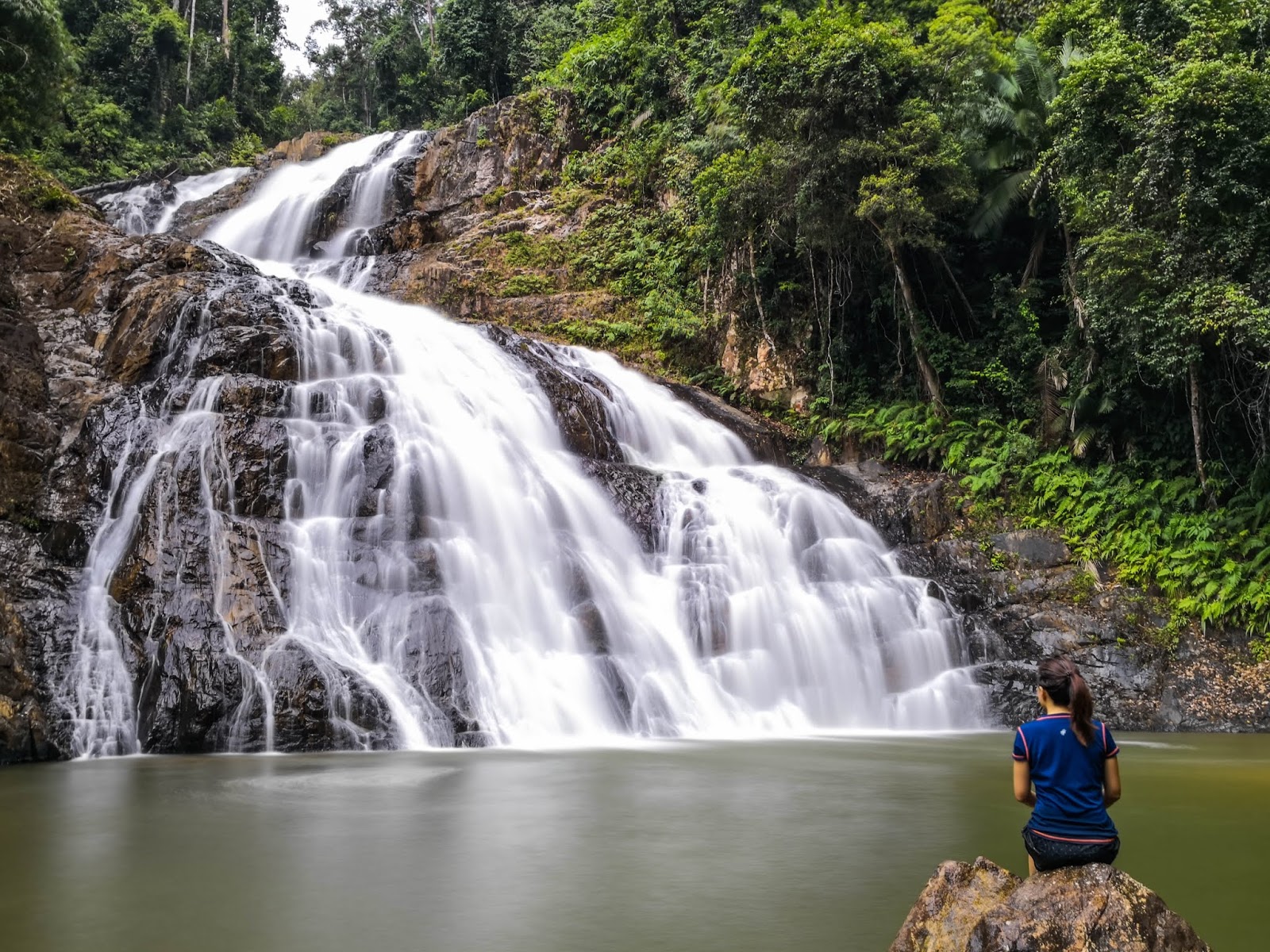 2D1N Endau-Rompin National Park via Selai : Waterfalls Paradise ...