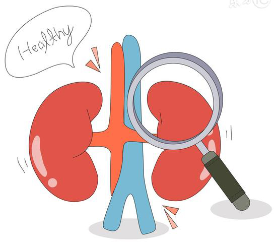 Renal-Disease-Treatment: Kidney disease proteinuria hazards
