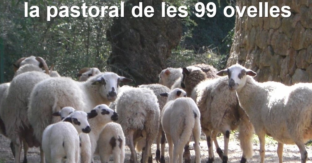 VENT DE CARA: La pastoral de les 99 ovelles: identitat cristiana a l ...