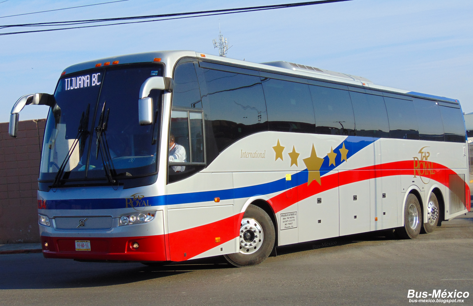 Transportes y Autobuses del Pacífico: TAP Royal - Bus-México