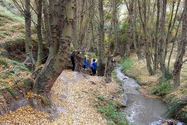 SORIA PASO A PASO: RIO VAL