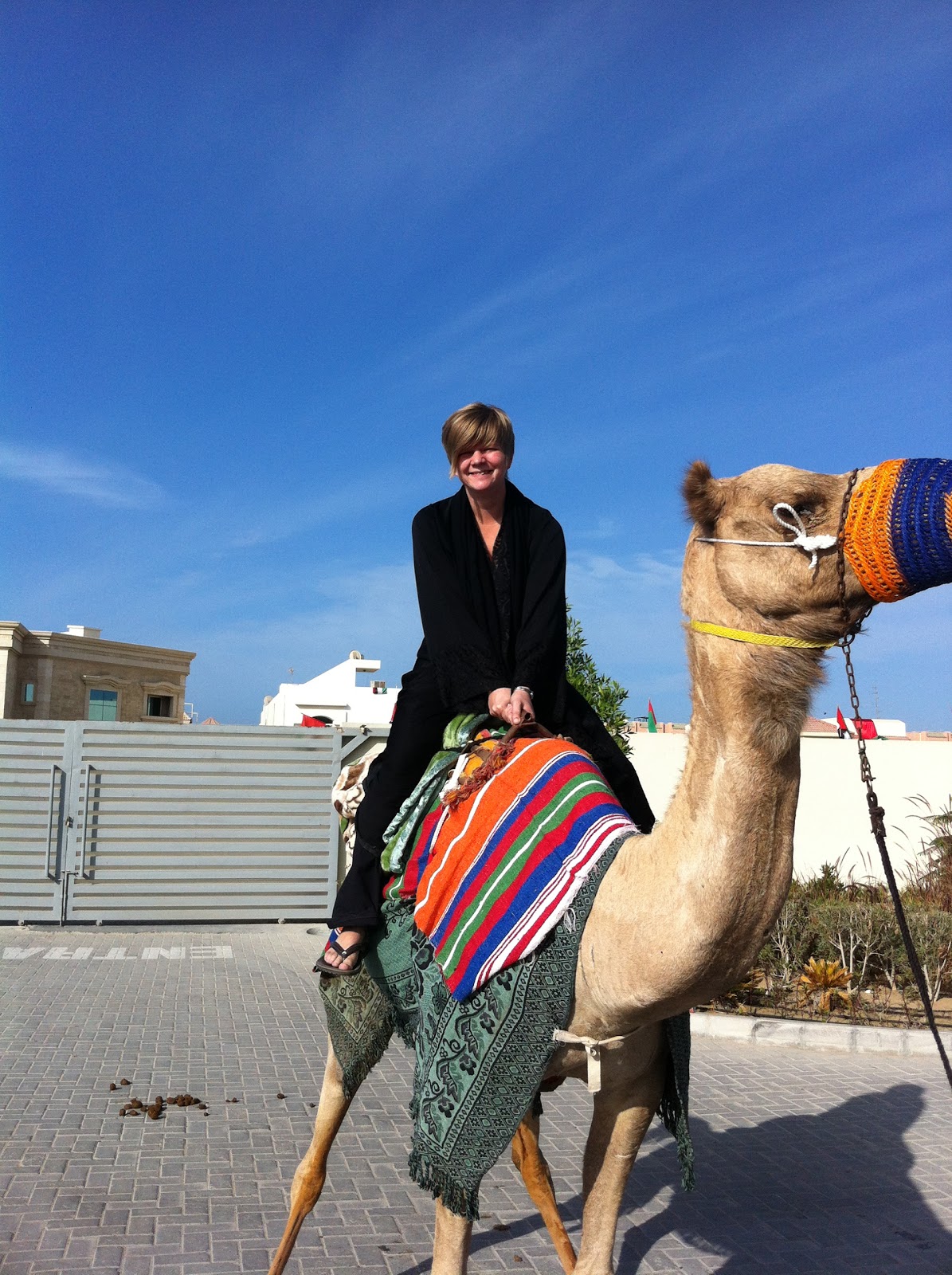 The Jamison Family : The Straw that Broke the Camel's Back