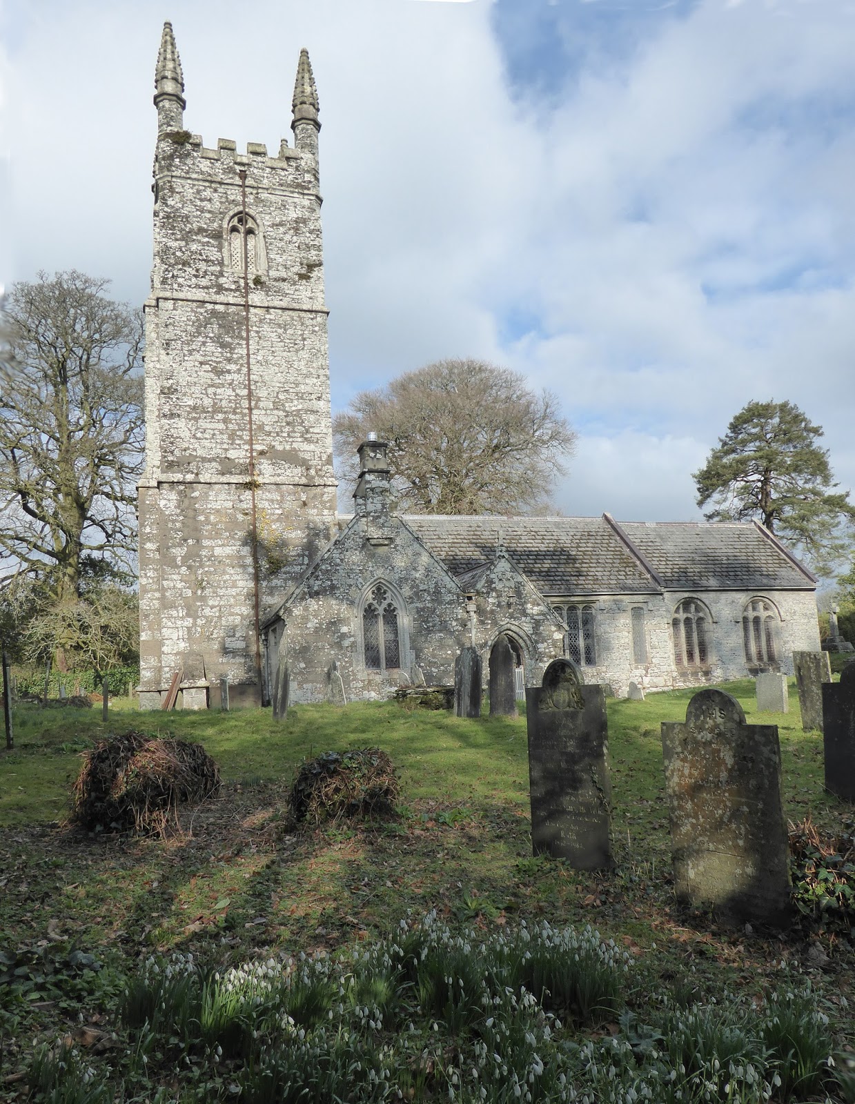 The THREE HARES: Kelly