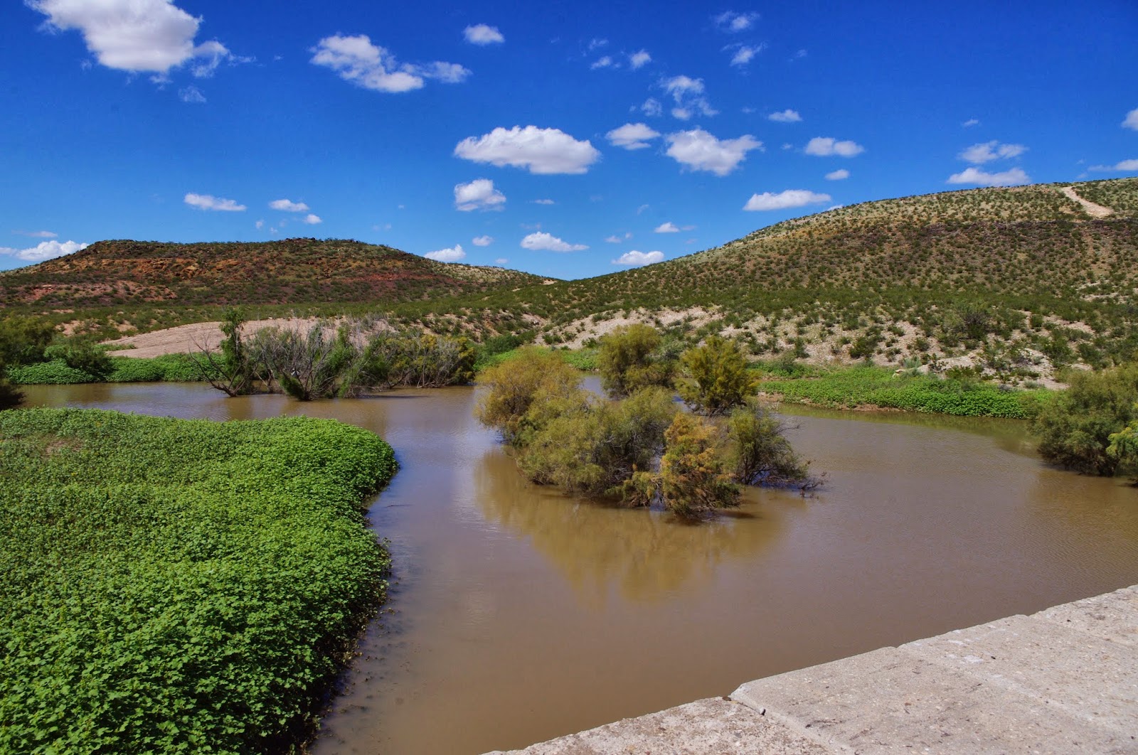 Southern New Mexico Explorer: Spring Canyon- Robledo Mountains