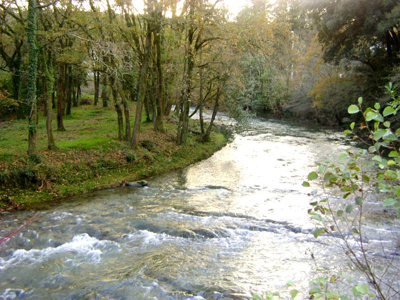 El Rincón Del Geógrafo: TEMA 06: LA RED HIDROGRÁFICA ESPAÑOLA.
